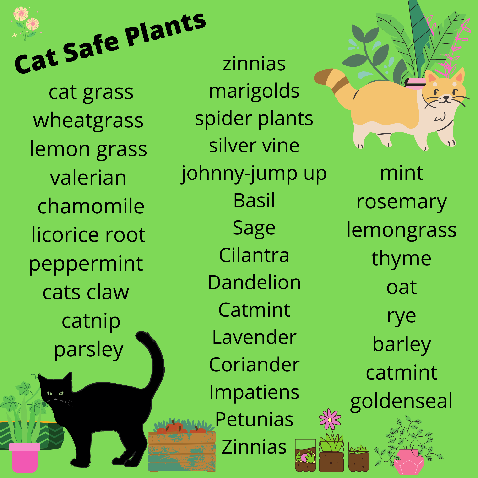 Create a Cool Cat Garden for your Felines with Safe Plants – Furball Fables